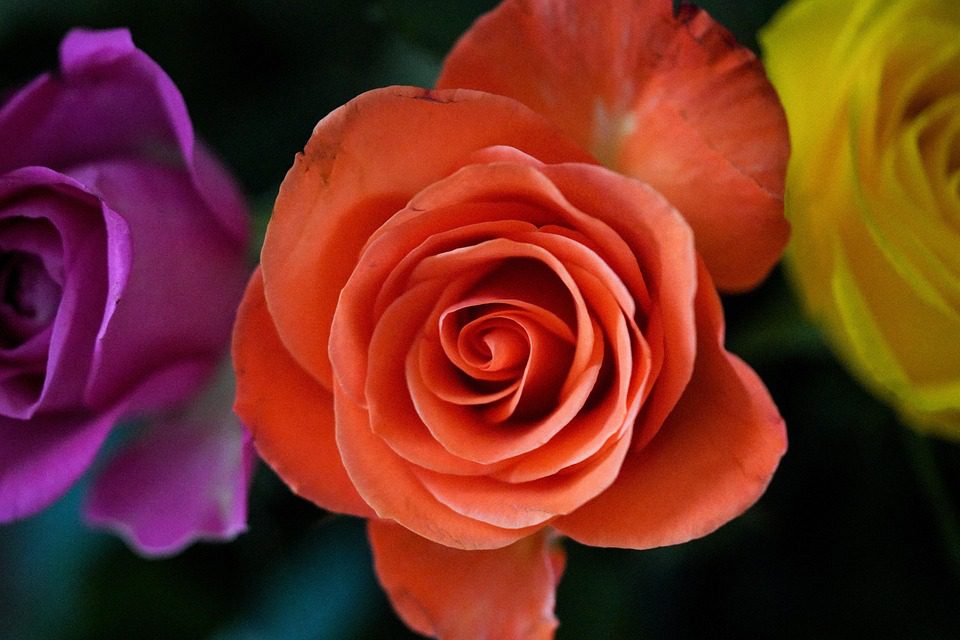 Jon Schaffer and the Power of Music in Political Expression ...